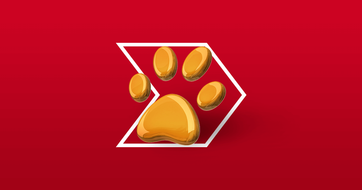 CIMB My Paw Pal Pet Insurance Plans in Singapore | CIMB SG